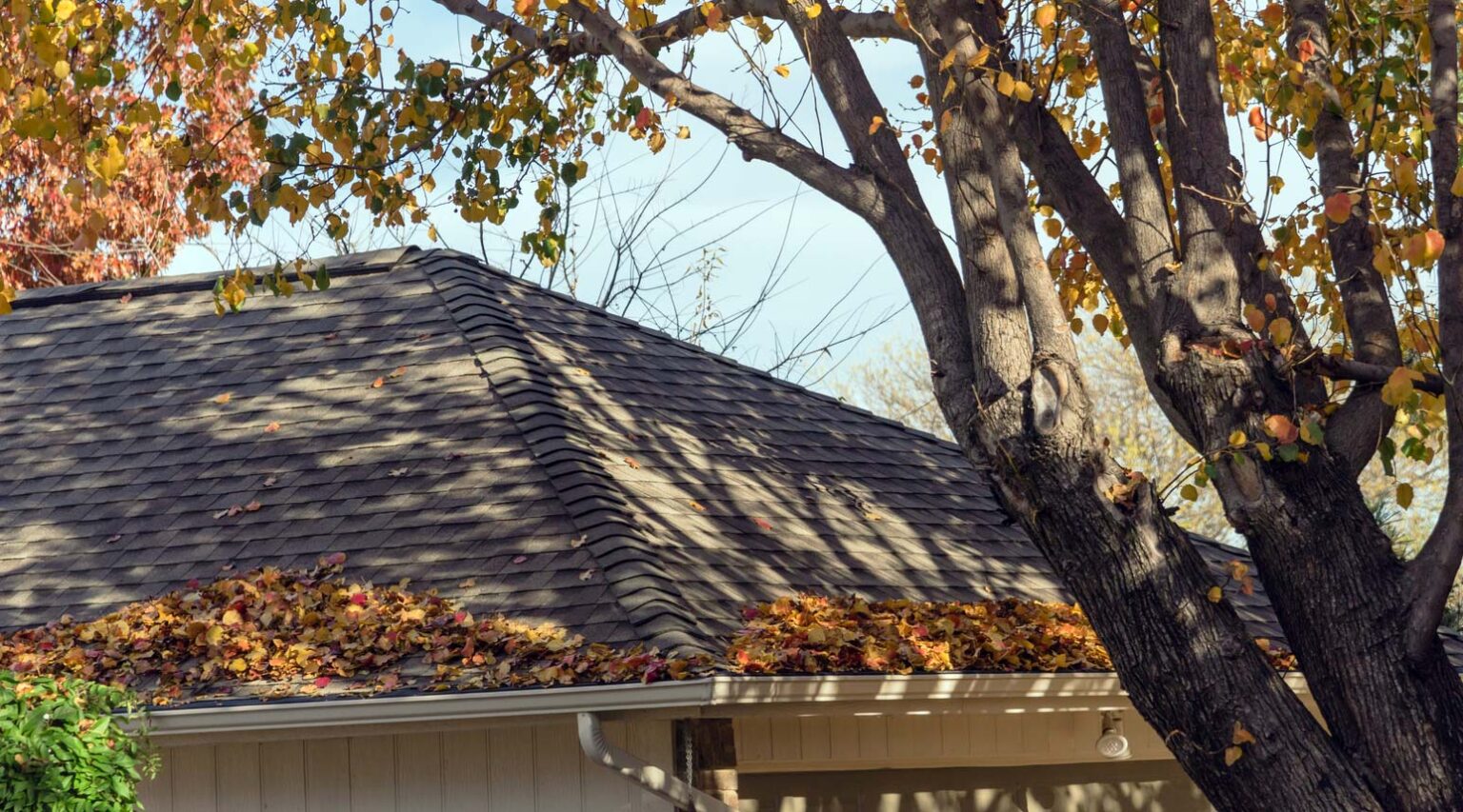Comprehensive Guide To the Anatomy Of a Roof - GutterHawk Roofing and ...